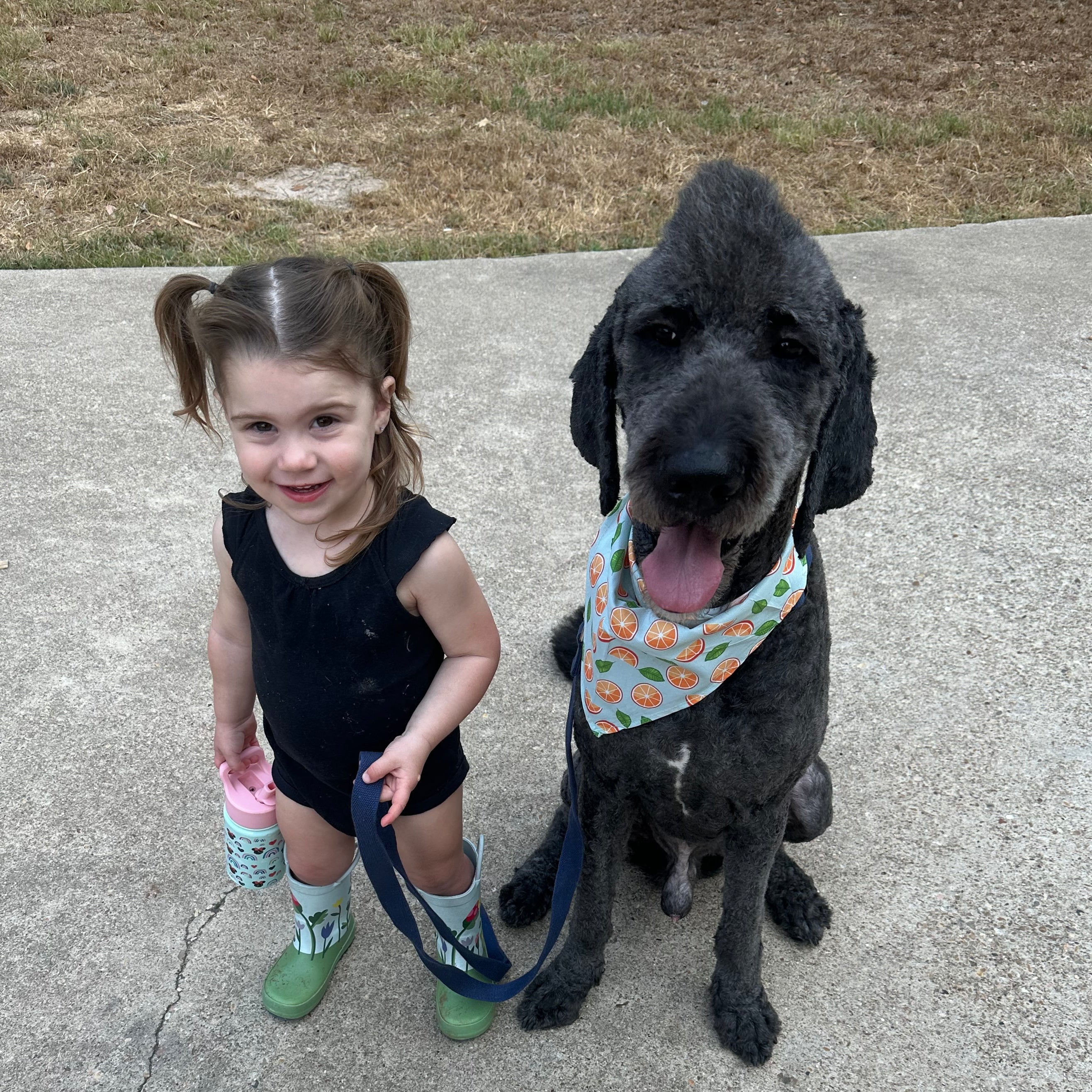 Super Exciting Week at DD – Dacus Doodles