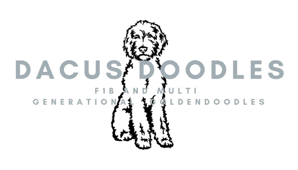 Goldendoodle Breeder Texas | Dacus Doodles